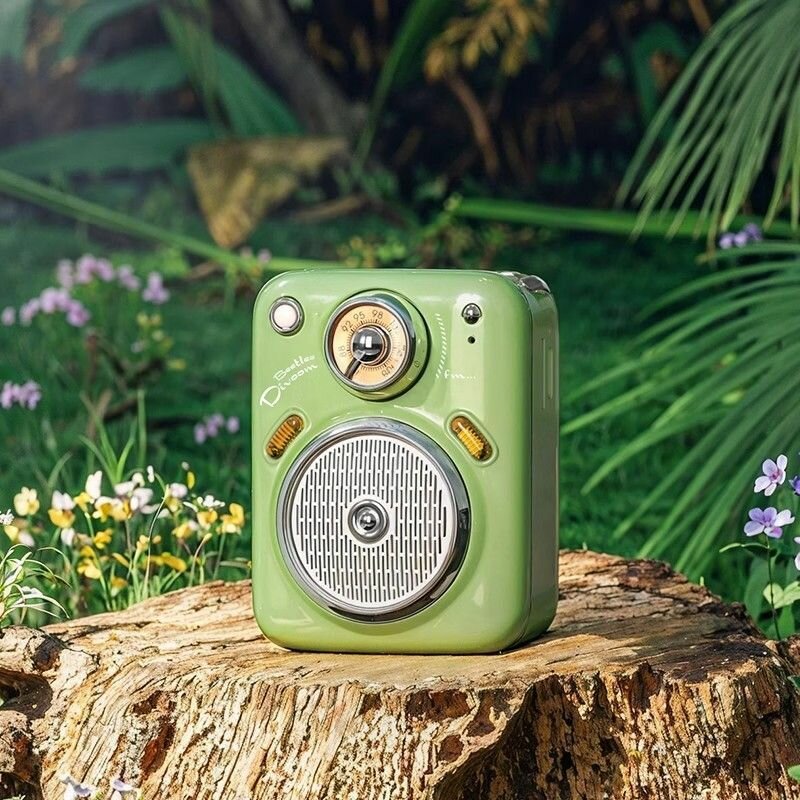 Divoom Beetles 2th Bluetooth Громкоговоритель FM Радио на открытом воздухе Портативный мини - динамик