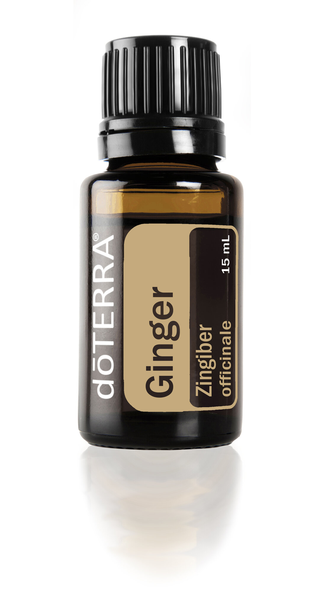 Имбирь, дотерра. Ginger, doTERRA