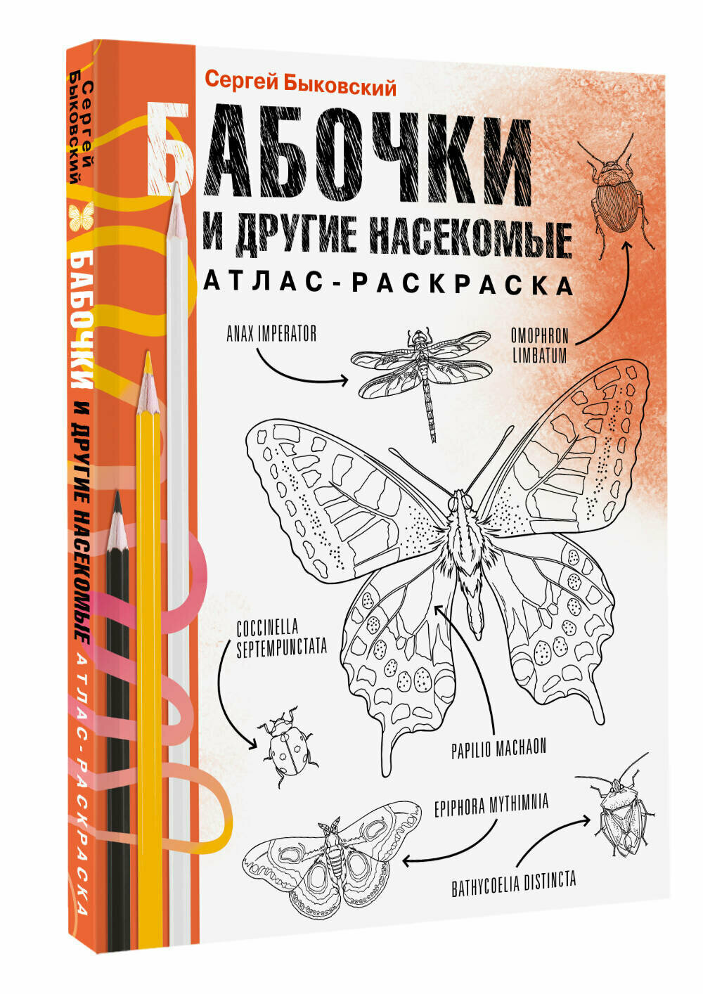 Бабочки и другие насекомые. Атлас-раскраска