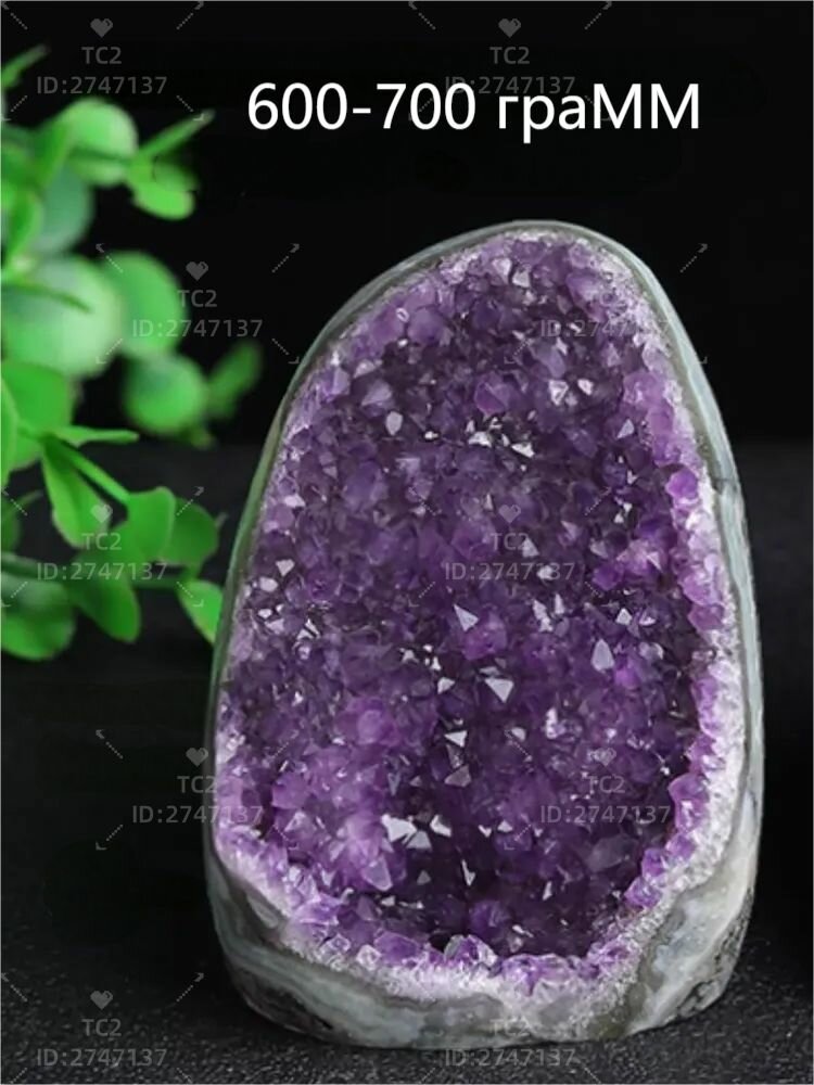 Аметист натуральный камень жеода