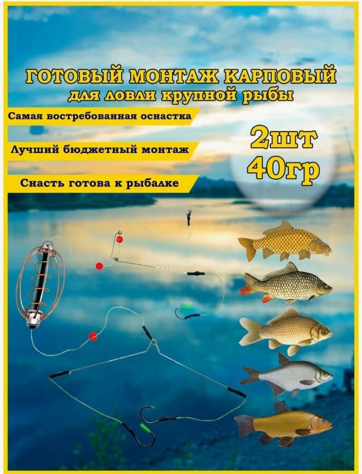Монтаж рыболовный Карповый для донной снасти 40гр. 2шт.