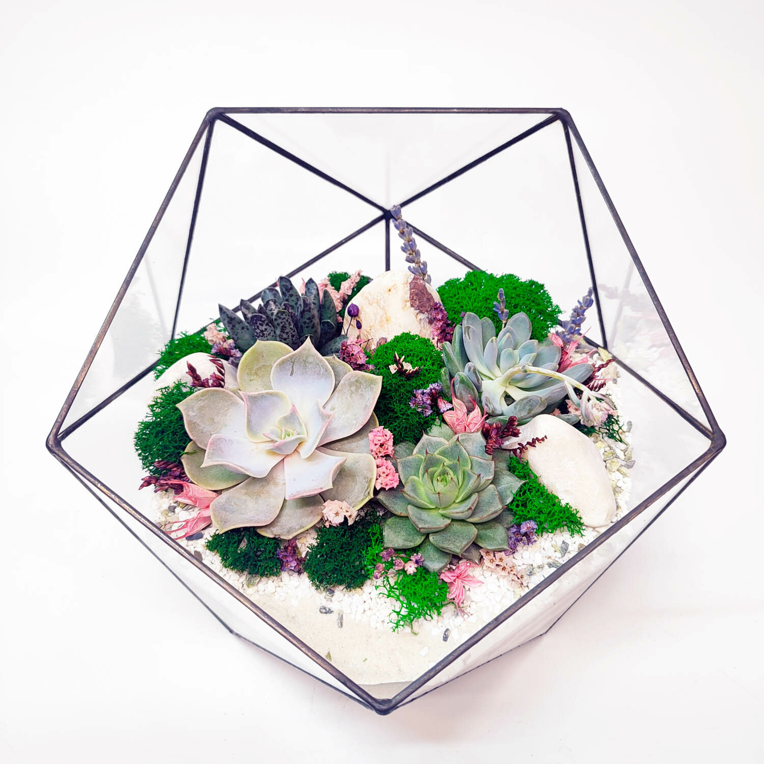 Флорариум с суккулентами "Бархатная нежность" Икосаэдр 22см
