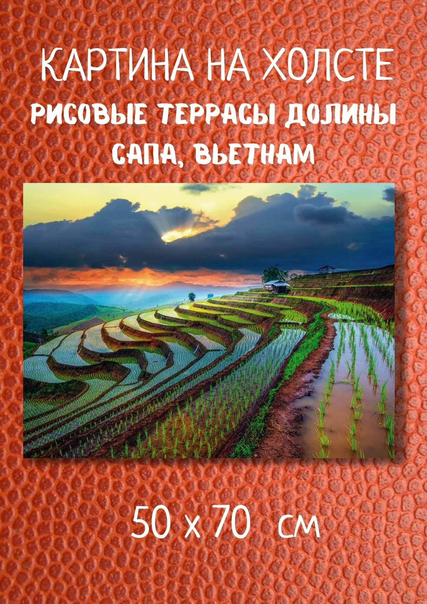 Картина фото 70х50 с долиной "Рисовые террасы долины Сапа, Вьетнам"