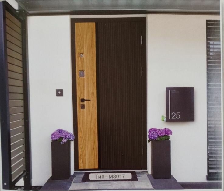 Дверь входная М-8017