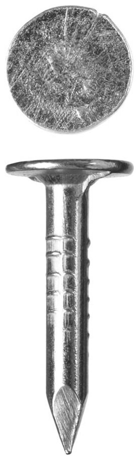 ЗУБР 20 х 3 мм, 5 кг, гвозди с большой потайной головкой 305090-30-020 Мастер