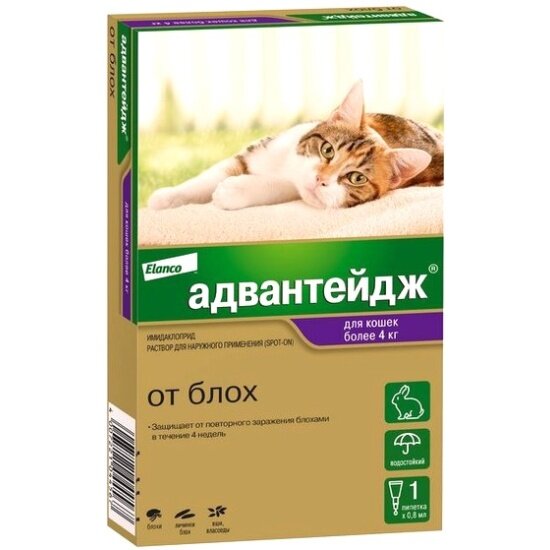 Капли Elanco Адвантейдж 80 К от блох для кошек больше 4 кг 1 пипетки х 0,8 мл