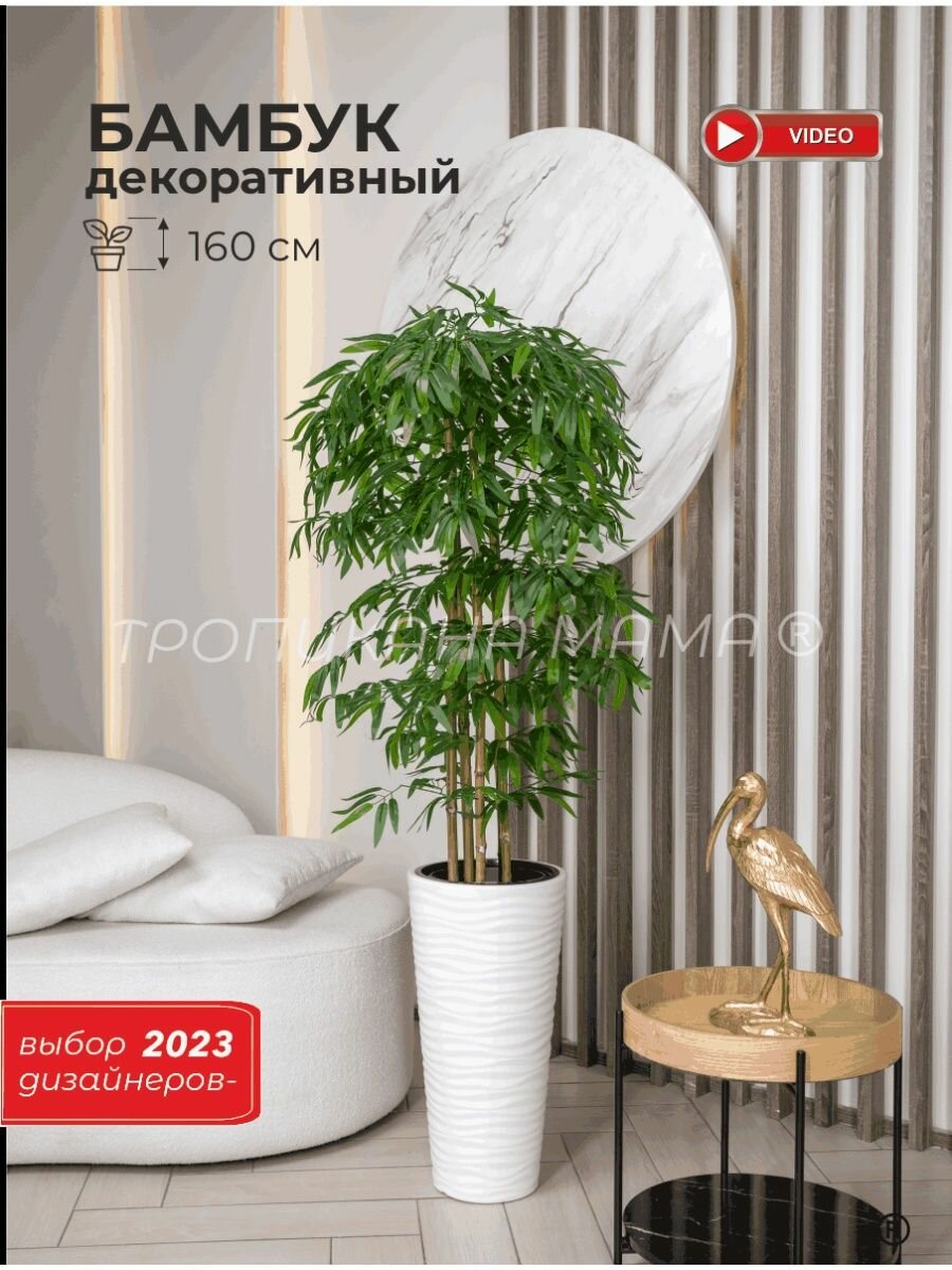 Искусственное растение бамбук