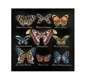 14.001.08 Бабочки