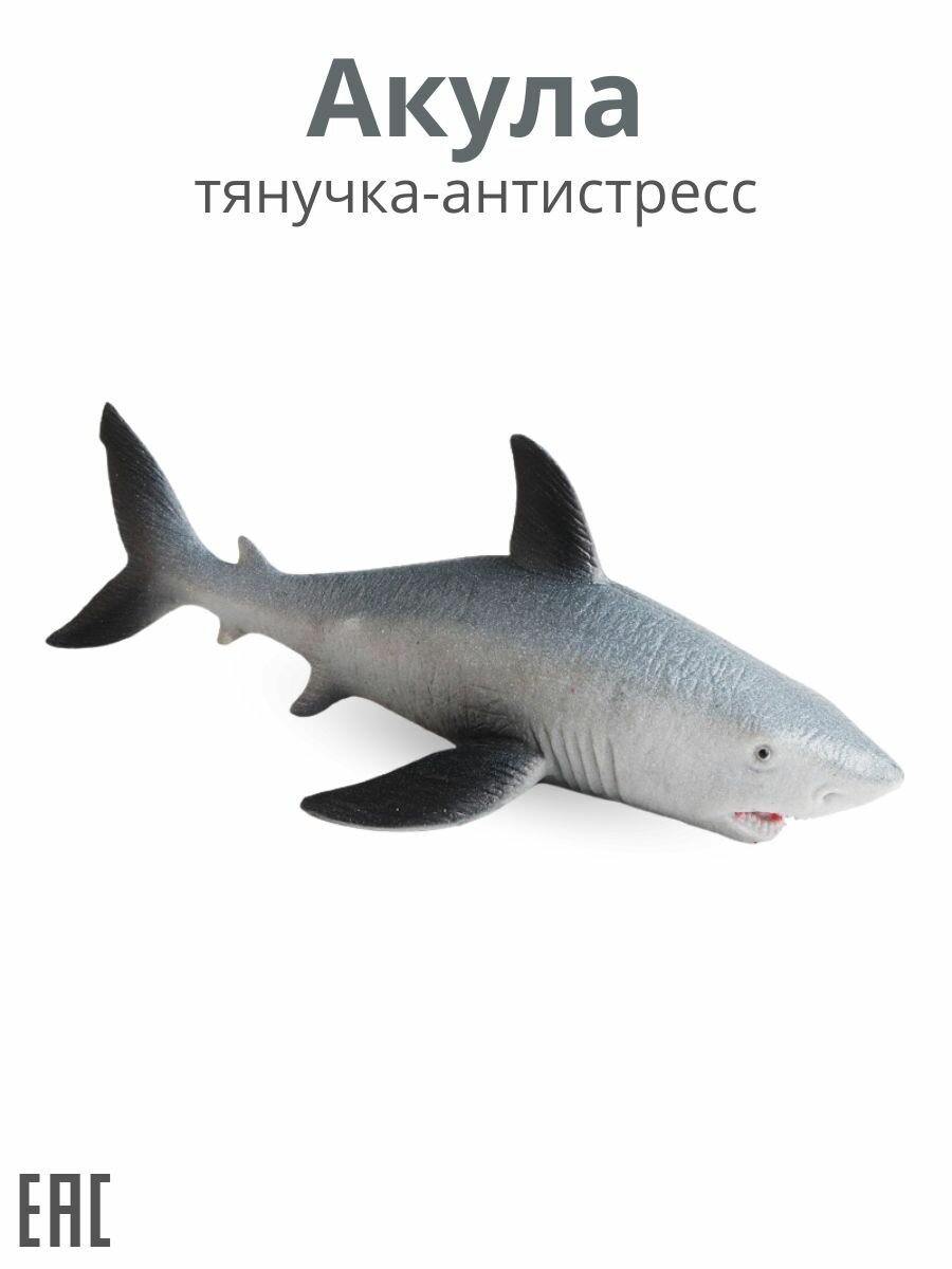 Акула антистресс тянучка / Игрушка тянучка