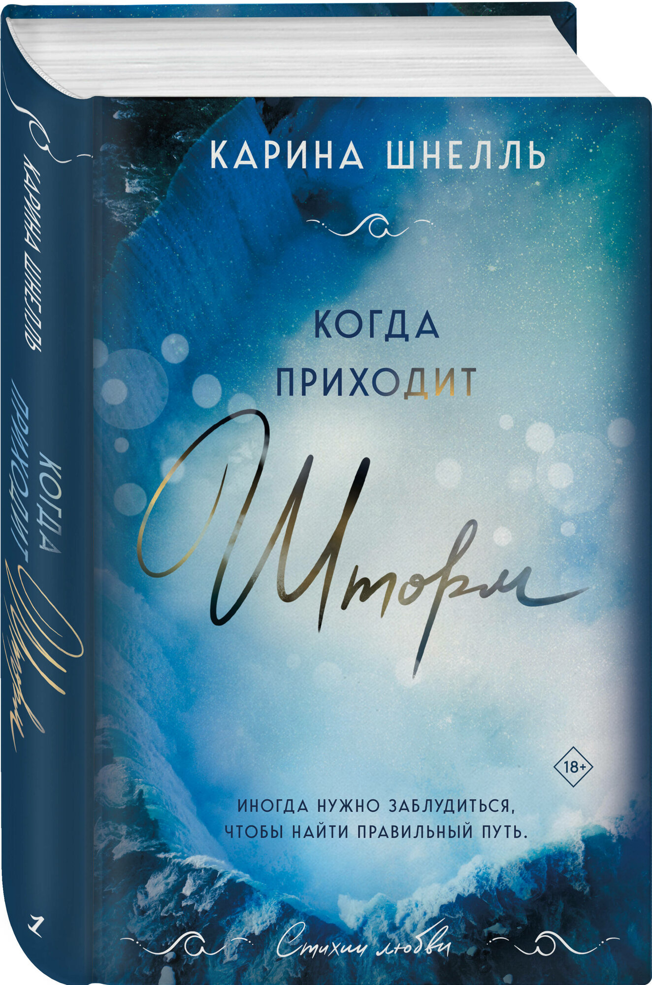 Шнелль К. Когда приходит шторм