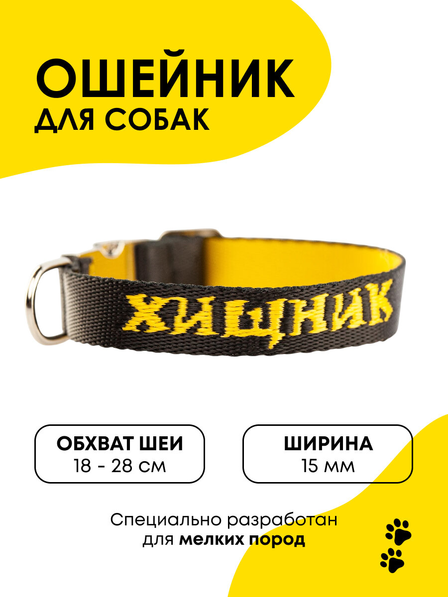 Ошейник Красотка Кэри, для миниатюрных и мелких собак, мягкий, анатомический, легкий, 18-28см