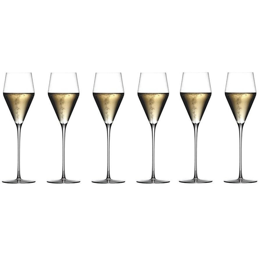6 бокалов для шампанского Zalto Denk'Art Champagne Set 11550