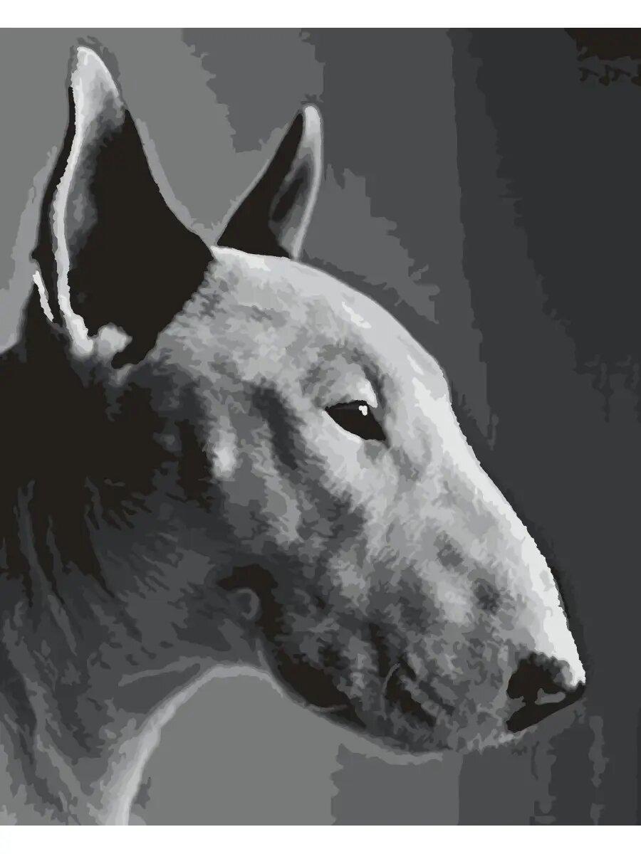 Картина по номерам Бультерьер 40х50 см