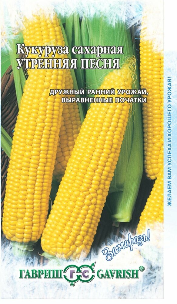 Семена Кукуруза Утренняя песня сахарный 5г Ранние (Гавриш) ХИТ х3