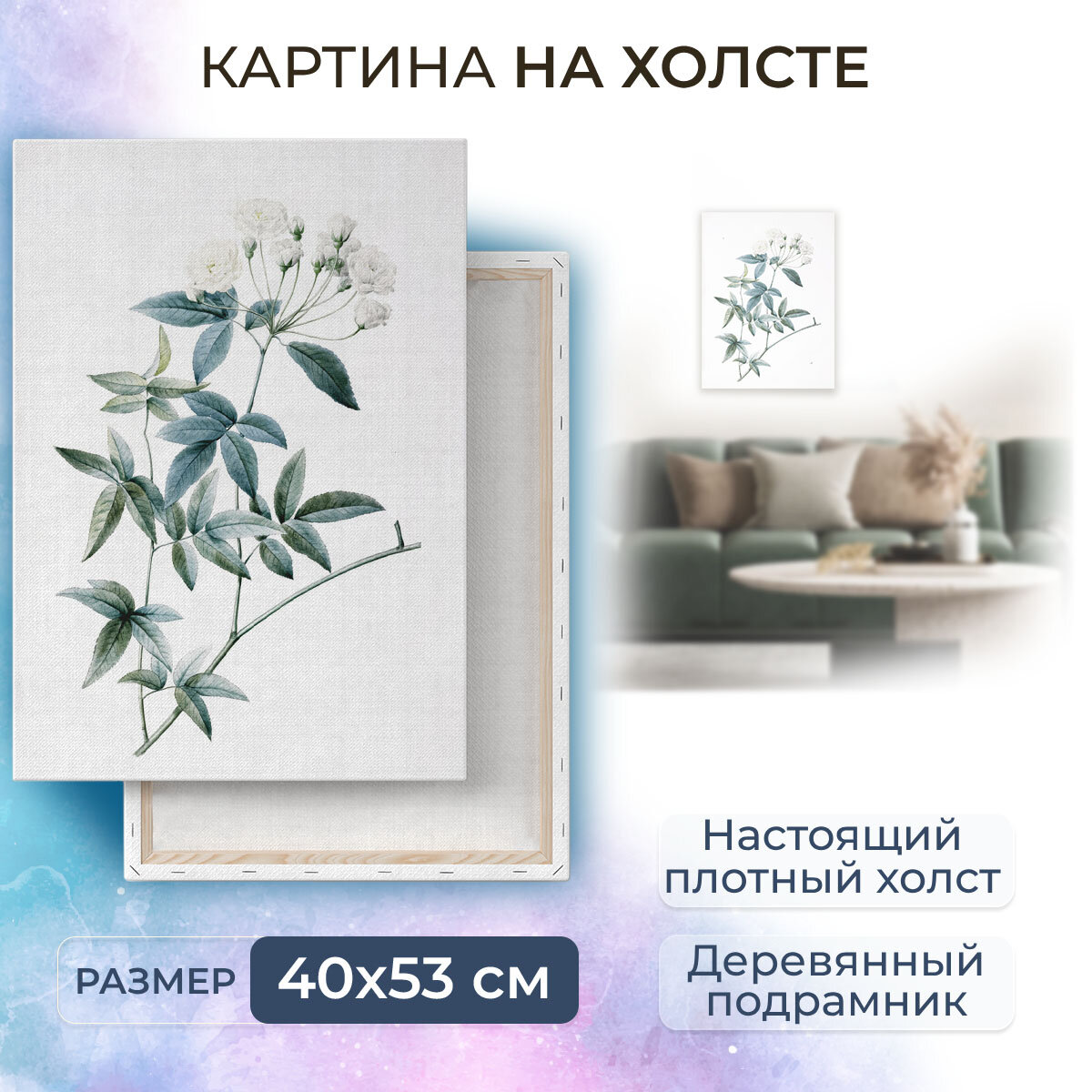Картина на холсте с подрамником / Pierr - Joseph Redoute / Пьер-Жозеф Редуте