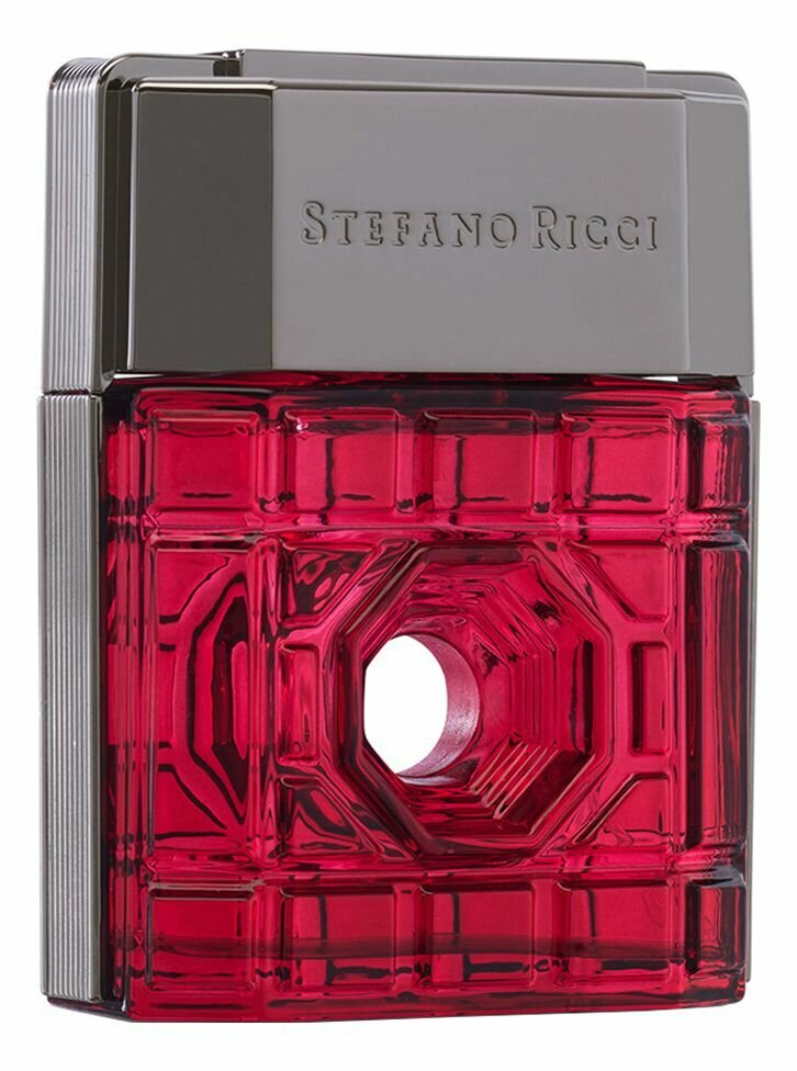 Stefano Ricci Paris Eau de Parfum парфюмерная вода 100 мл, аромат унисекс