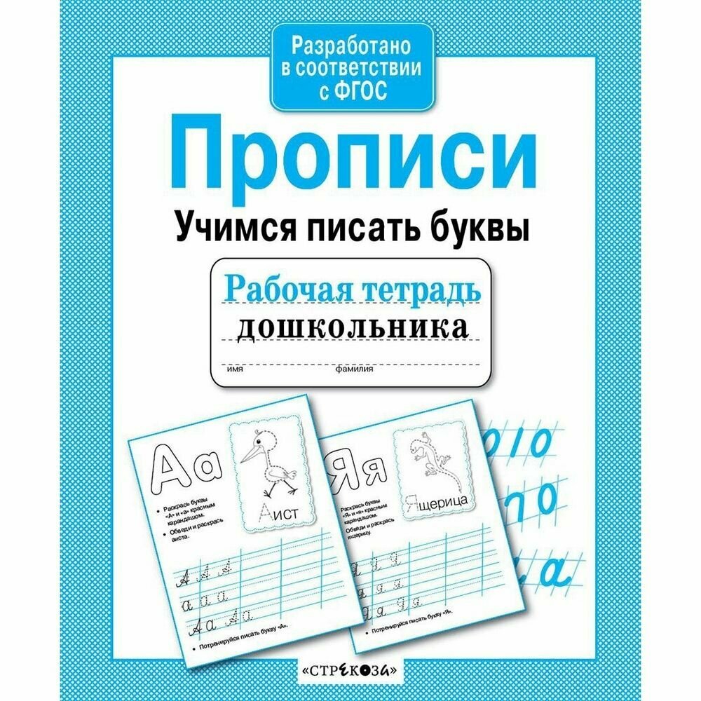 Рабочая тетрадь дошкольника Стрекоза Прописи. Учимся писать буквы. 2021 год, И. Попова