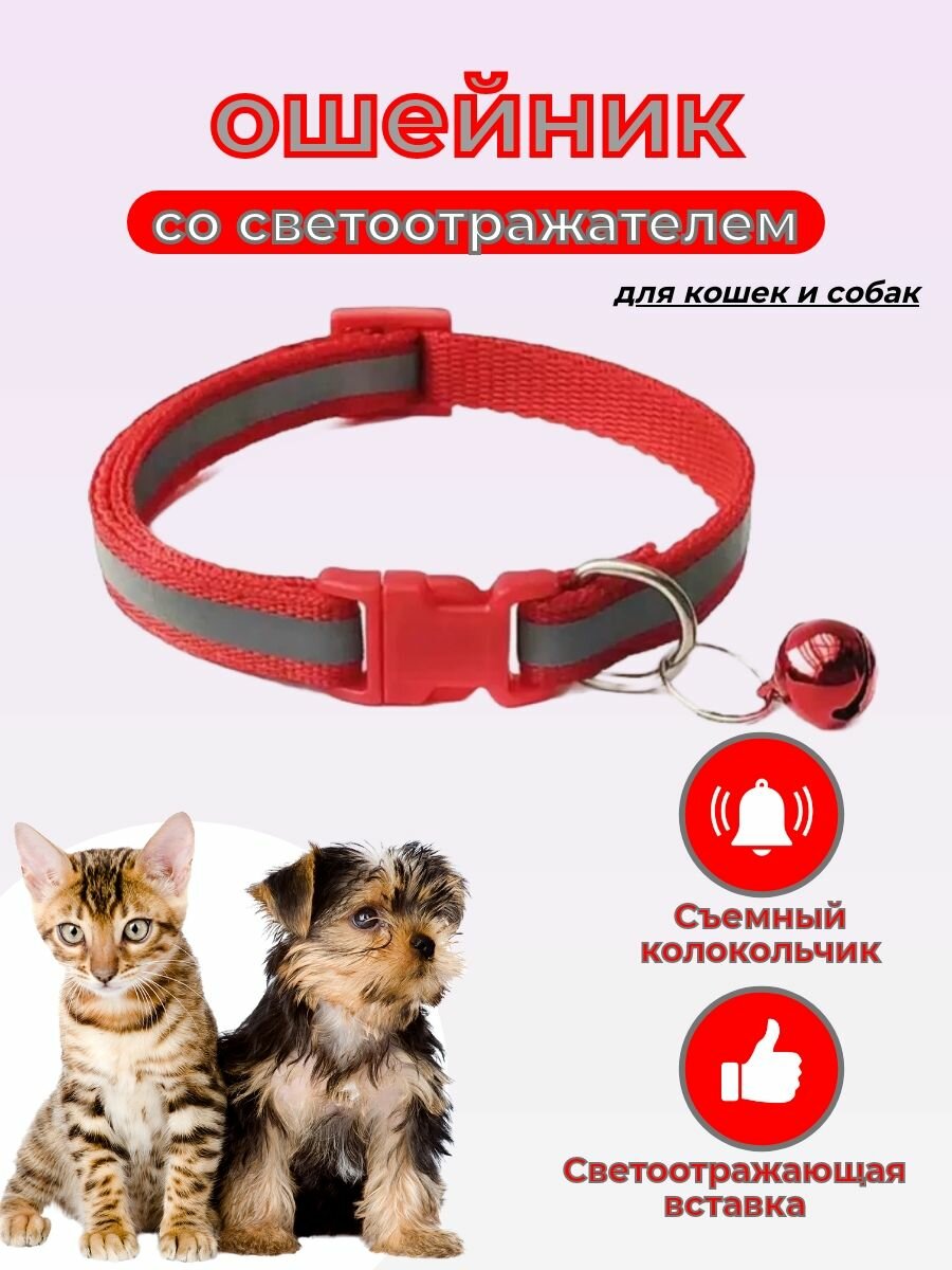Ошейник с отражателем для кошек и мелких пород собак , красный