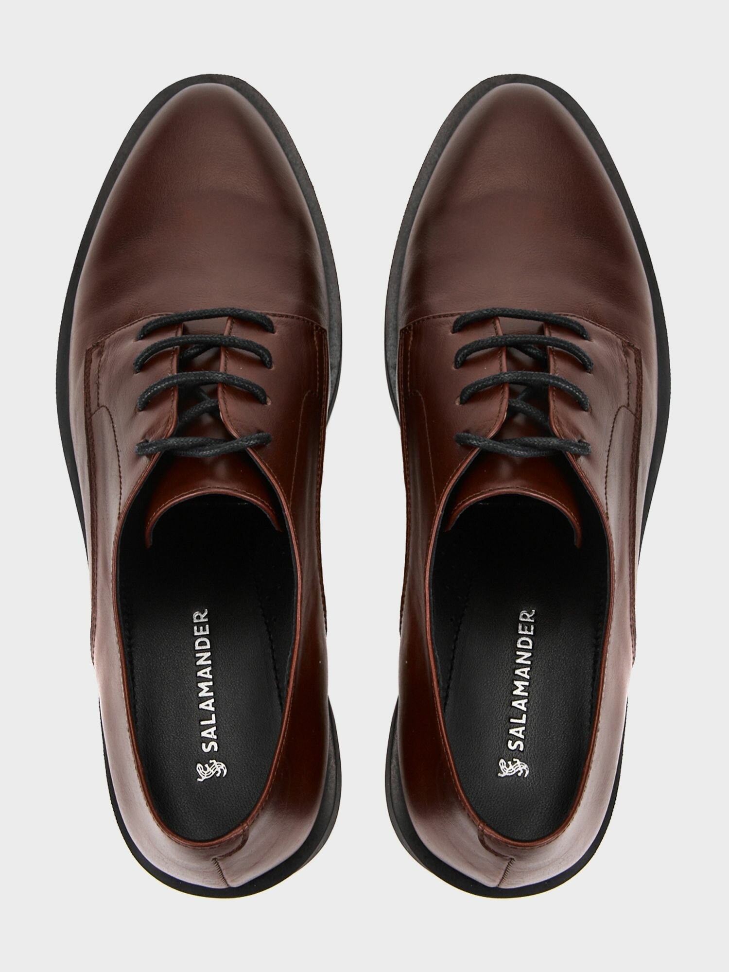 Полуботинки дерби Salamander