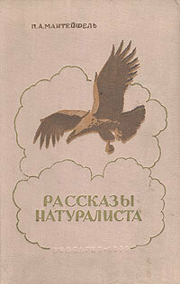 Рассказы натуралиста. Мантейфель Петр Александрович. 1955. Твердый переплет. 176 стр