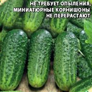 Семена Огурец F1 Крохотуля 10 шт.