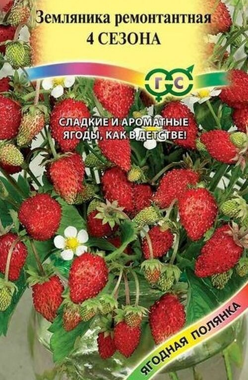 Семена Земляника Четыре сезона