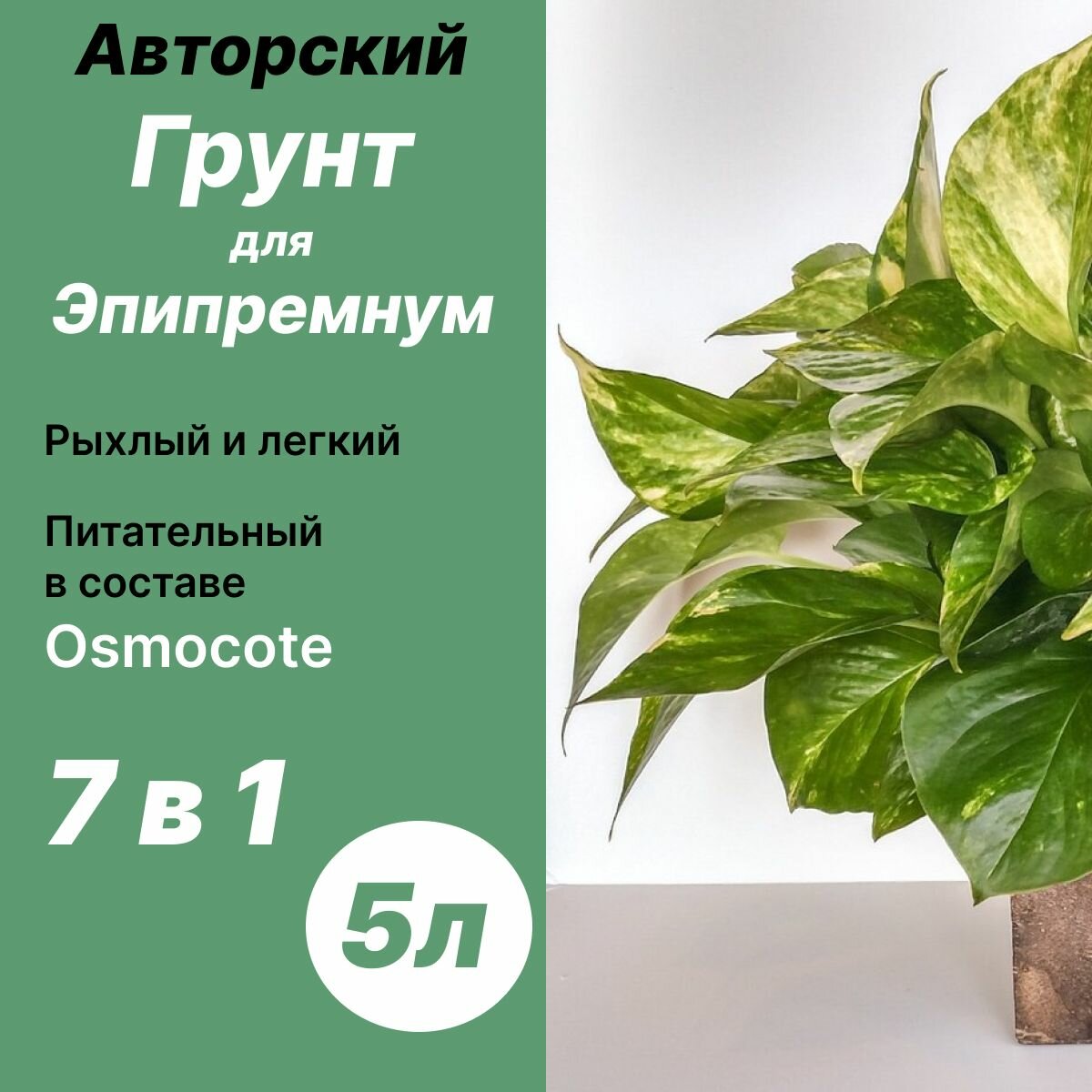 Грунт для Эпипремнумы 5л / Бионика