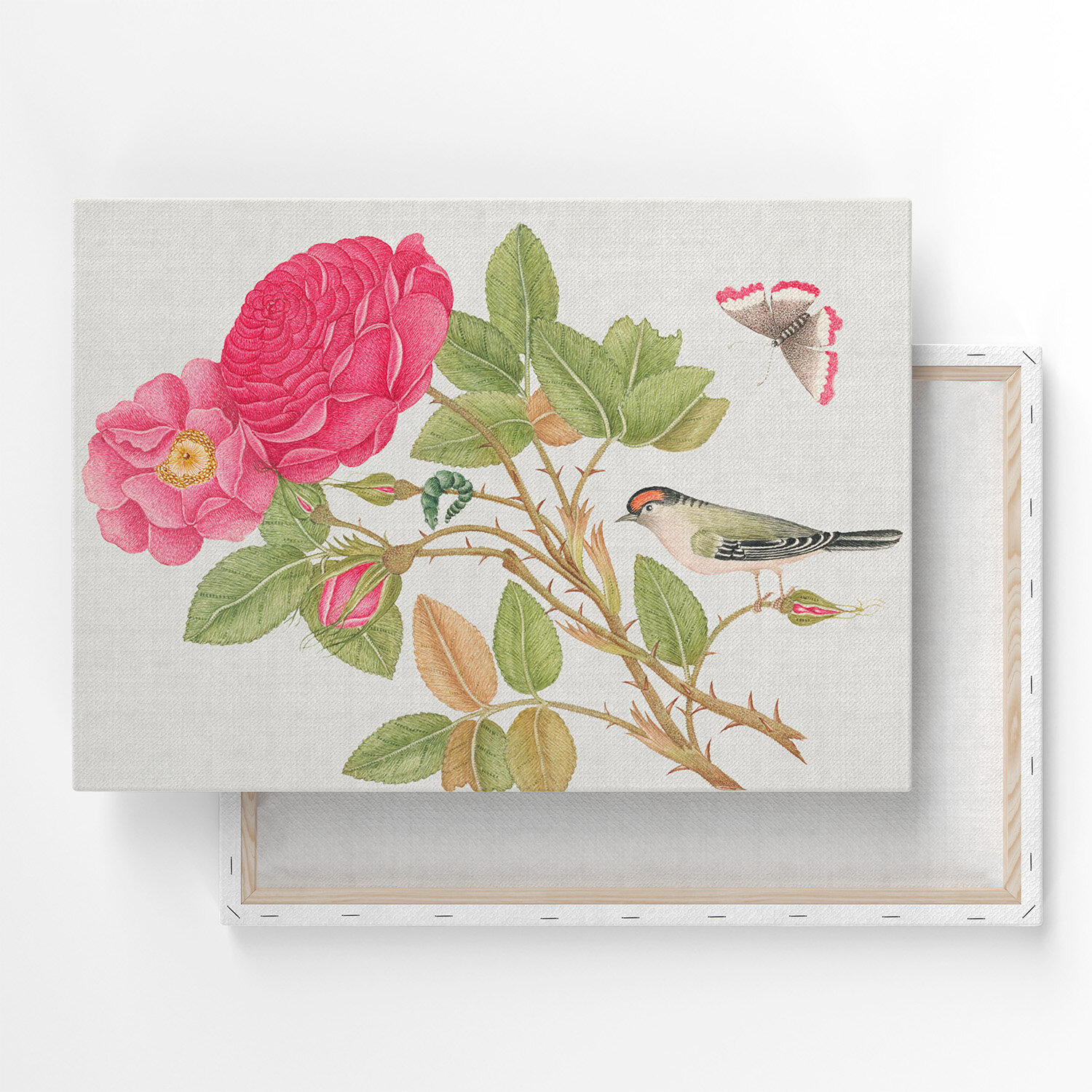 Картина на холсте, репродукция / Птицы, бабочки и цветы / Размер 30 x 40 см