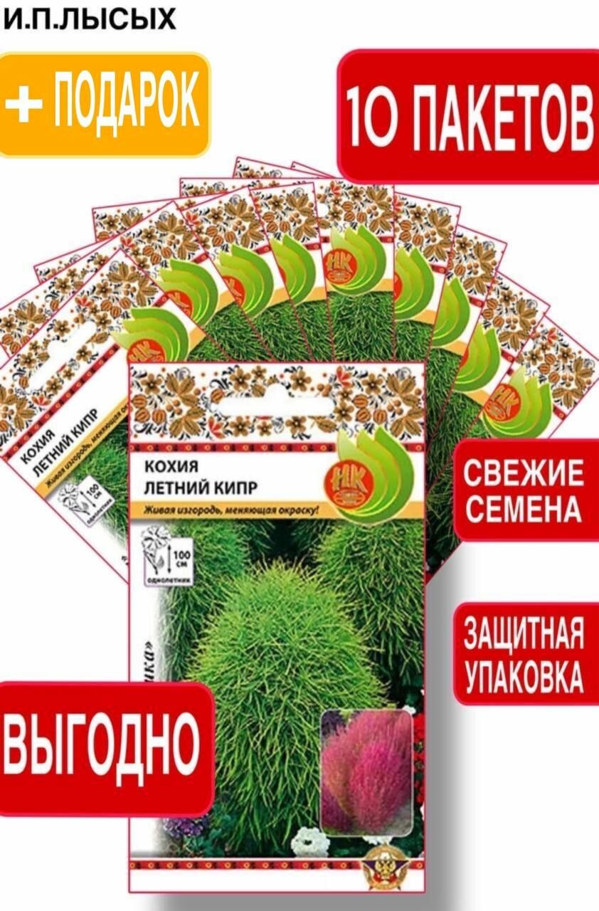 Семена Цветы Кохия Летний Кипр 10шт
