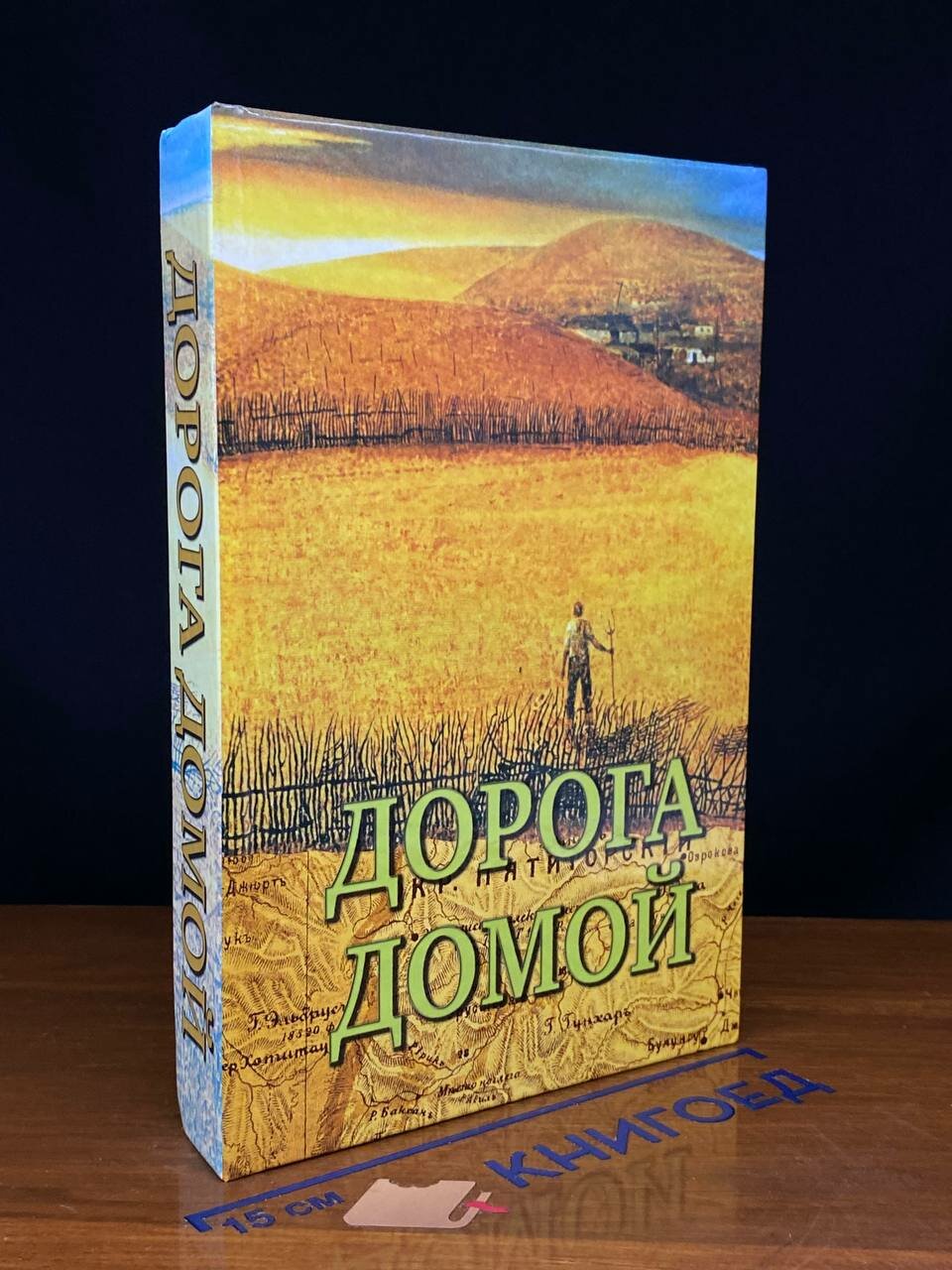 Книга. Дорога домой 2011 (2041280216727)