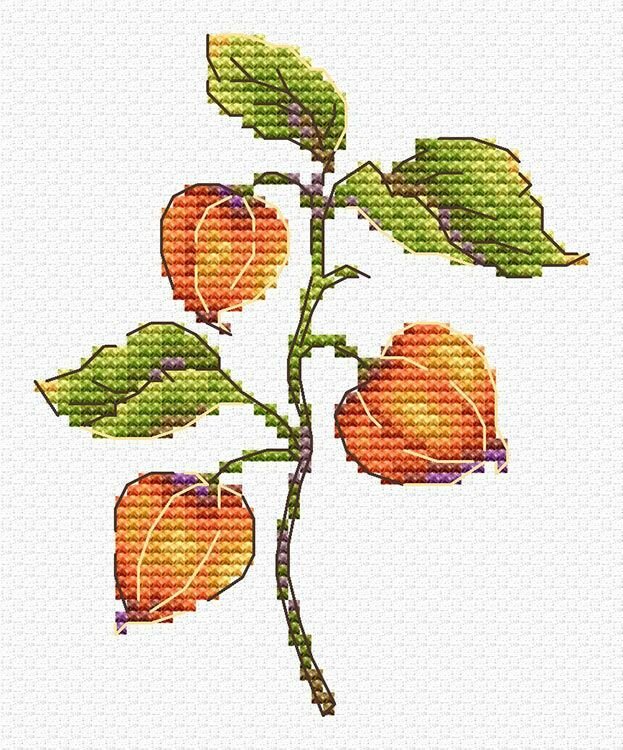 Вышивка на одежду набор Жар-птица (МП-студия), "Физалис", 9х11 см, Оранжевые Цветы Цветы