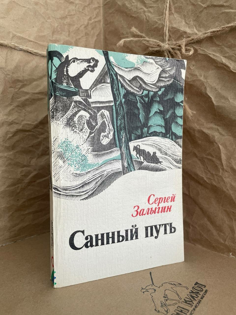 Санный путь