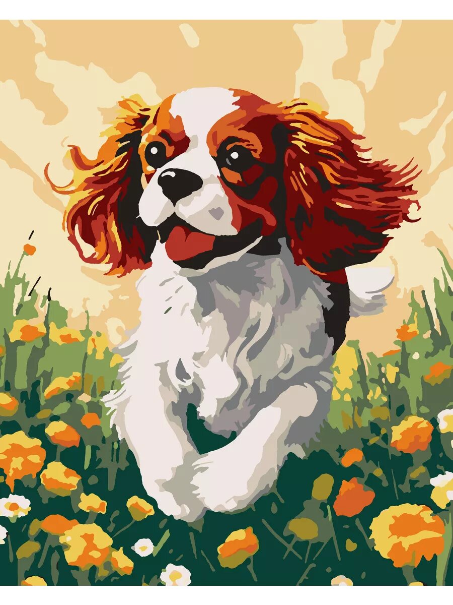 Картина по номерам Спаниель 40х50 см