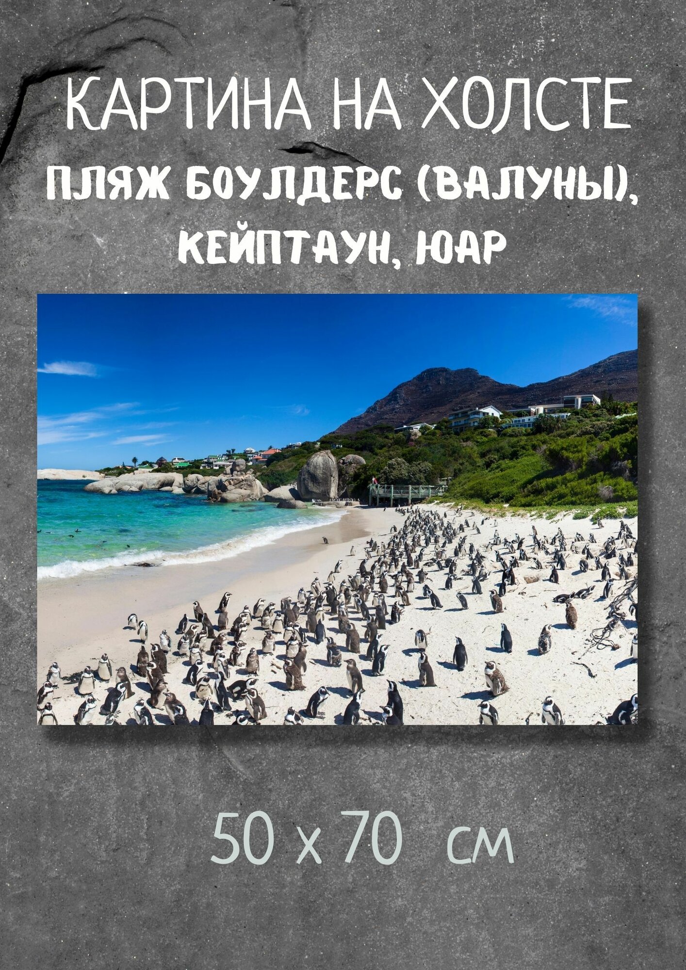 Картина 70х50 для интерьера "Пляж Боулдерс (валуны), Кейптаун, ЮАР"