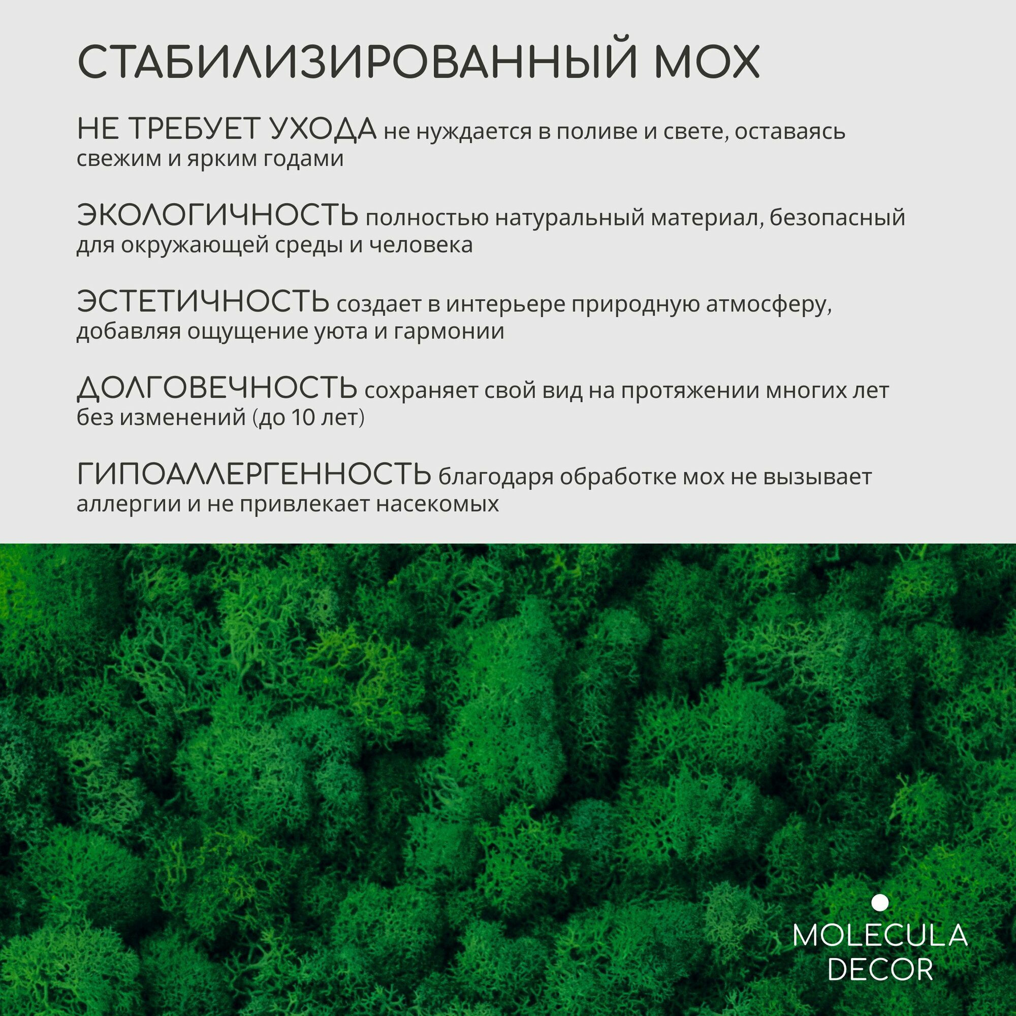 Набор ваз 5 шт из гипса со стабилизированным мхом для цветов сухоцветов настольный