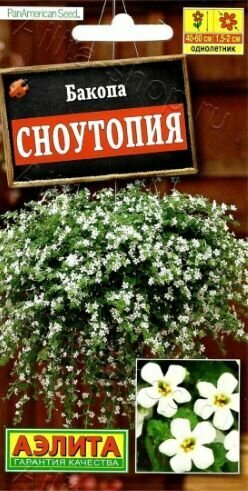 Бакопа Сноутопия ( 1 упаковка ), семена цветов для кашпо, однолетнее
