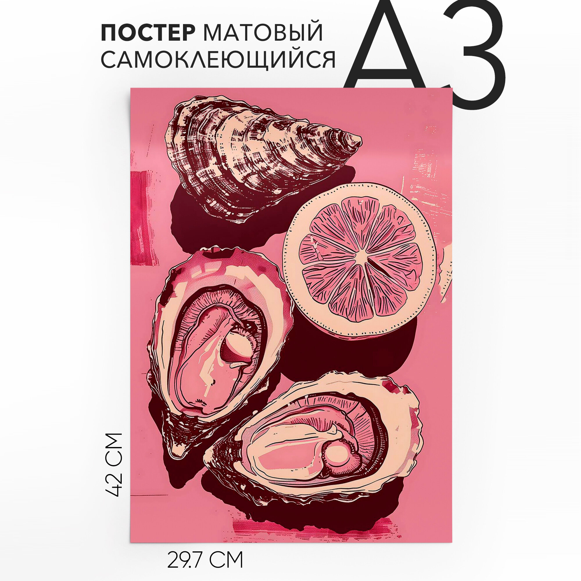 Постеры для интерьера самоклеящийся A3 Ракушки, влагостойкий, для декора