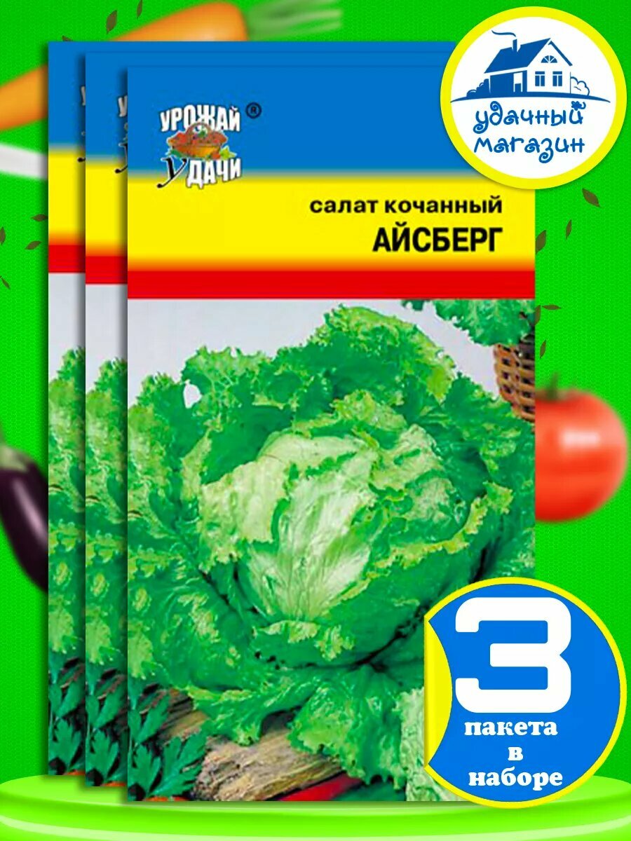 Салат салата айсберг для подоконника