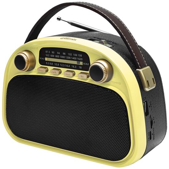 Радиоприемник Ritmix RPR-040 LEMON