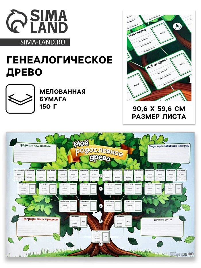Генеалогическое древо Моё родословное древо, 90.6×59.6 см, 10 шт.
