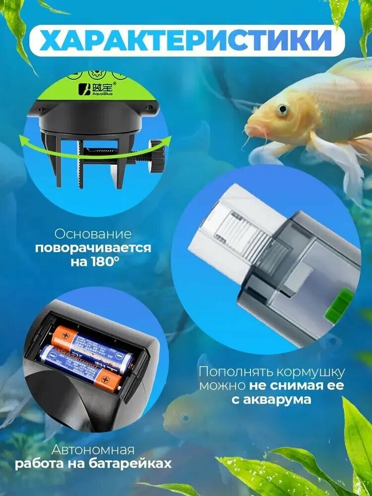 Автокормушка — фото 1
