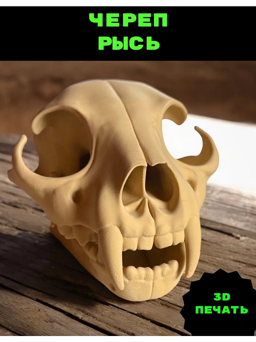 Фигурка Череп Рысь цвет кость 3D печать волк готическая динозавр