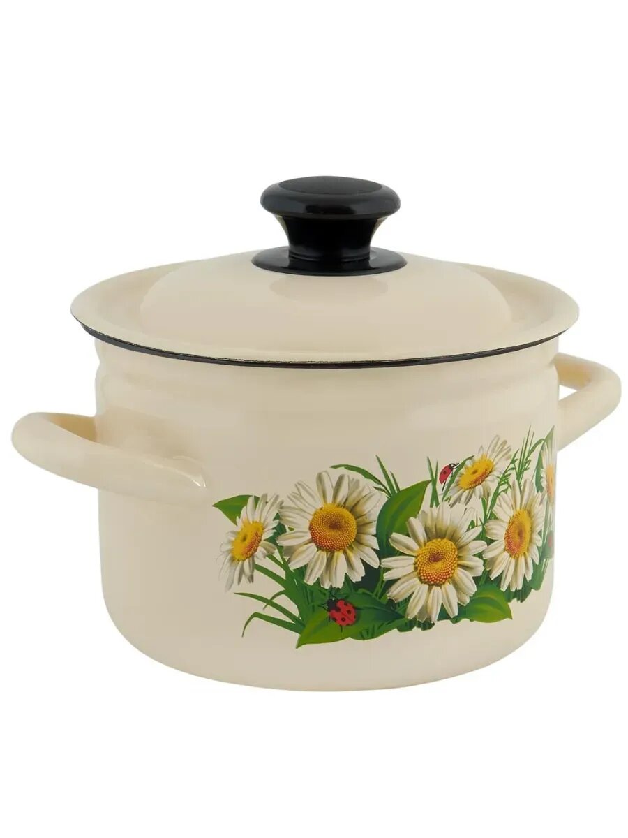 Кастрюля для плиты с крышкой эмаль 41704-102/6 2л