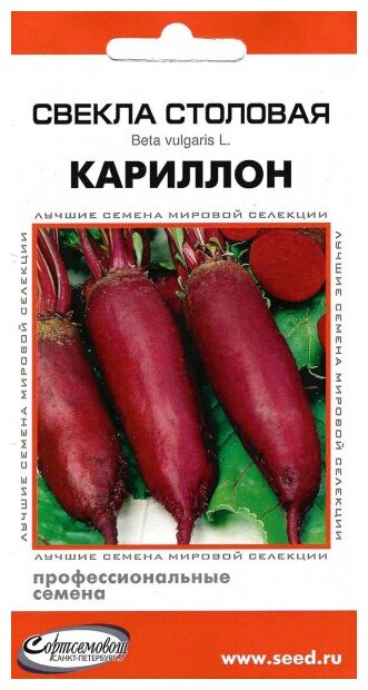 Свекла столовая Кариллон, 100 семян