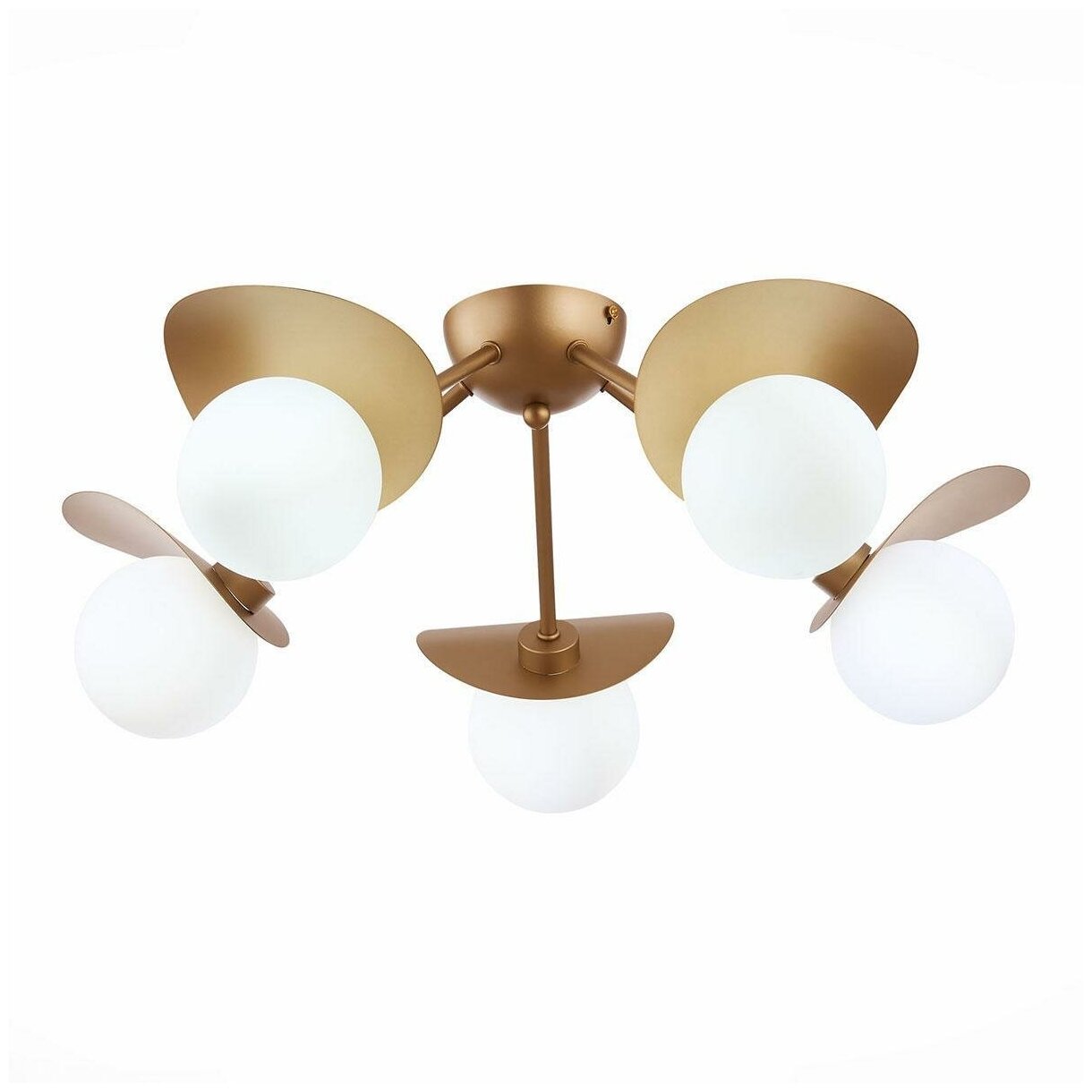 Потолочная люстра Evoluce Bolzano SLE220502-05