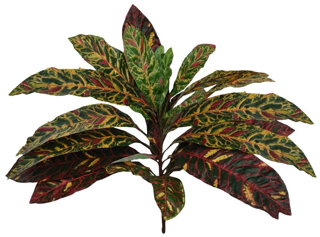 Искусственное растение Кротон от бренда Holodilova