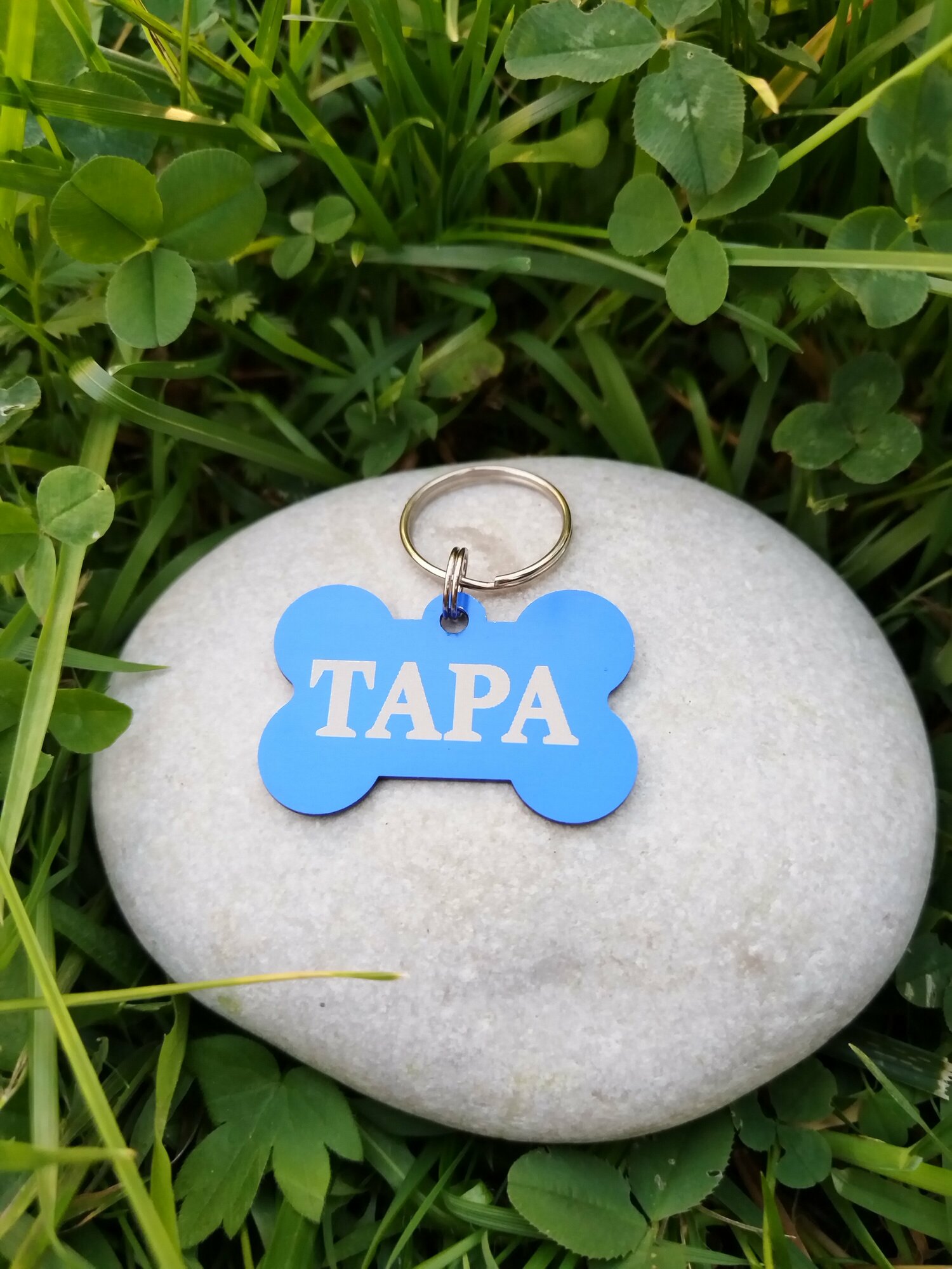 Адресник для кошек и собак с гравировкой