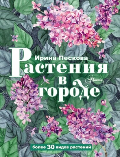 Растения в городе [Цифровая книга]