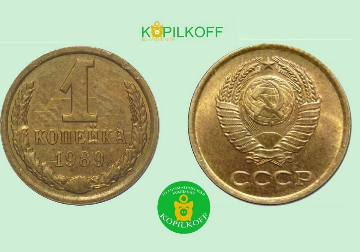 Монета 1 копейка 1989 г. в./Регулярного выпуска СССР/из оборота