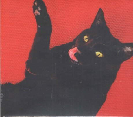 Компакт-Диски, Pax Americana Record Company, RYAN ADAMS - Big Colors (CD)